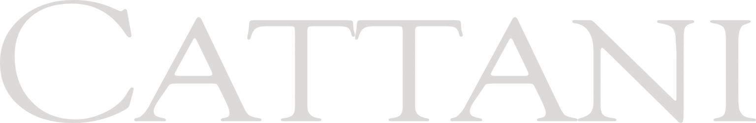 Cattani – Wealth Management